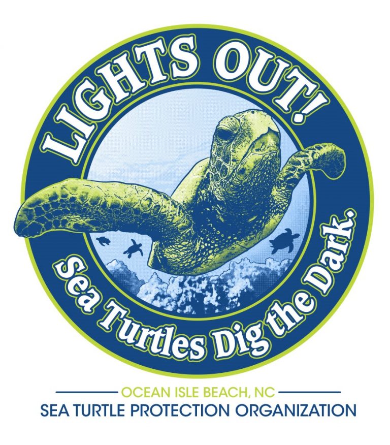 Nest Sponsorship Descriptions | Ocean Isle Beach Sea Turtle Protection ...