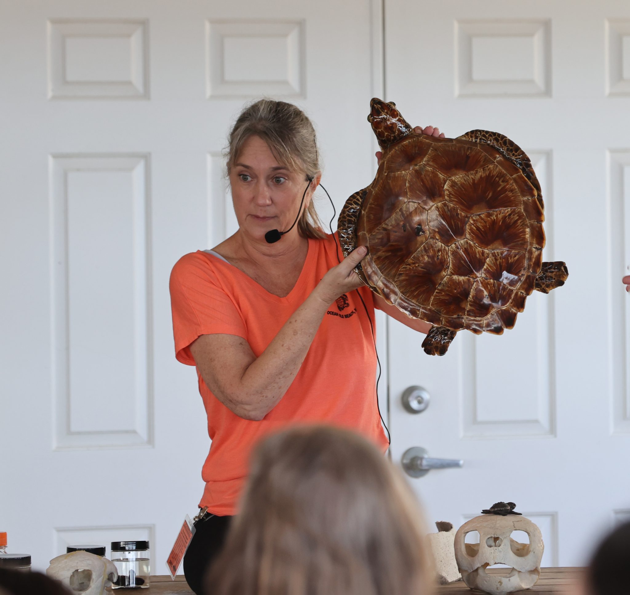 2025 Turtle Talk | Ocean Isle Beach Sea Turtle Protection Organization